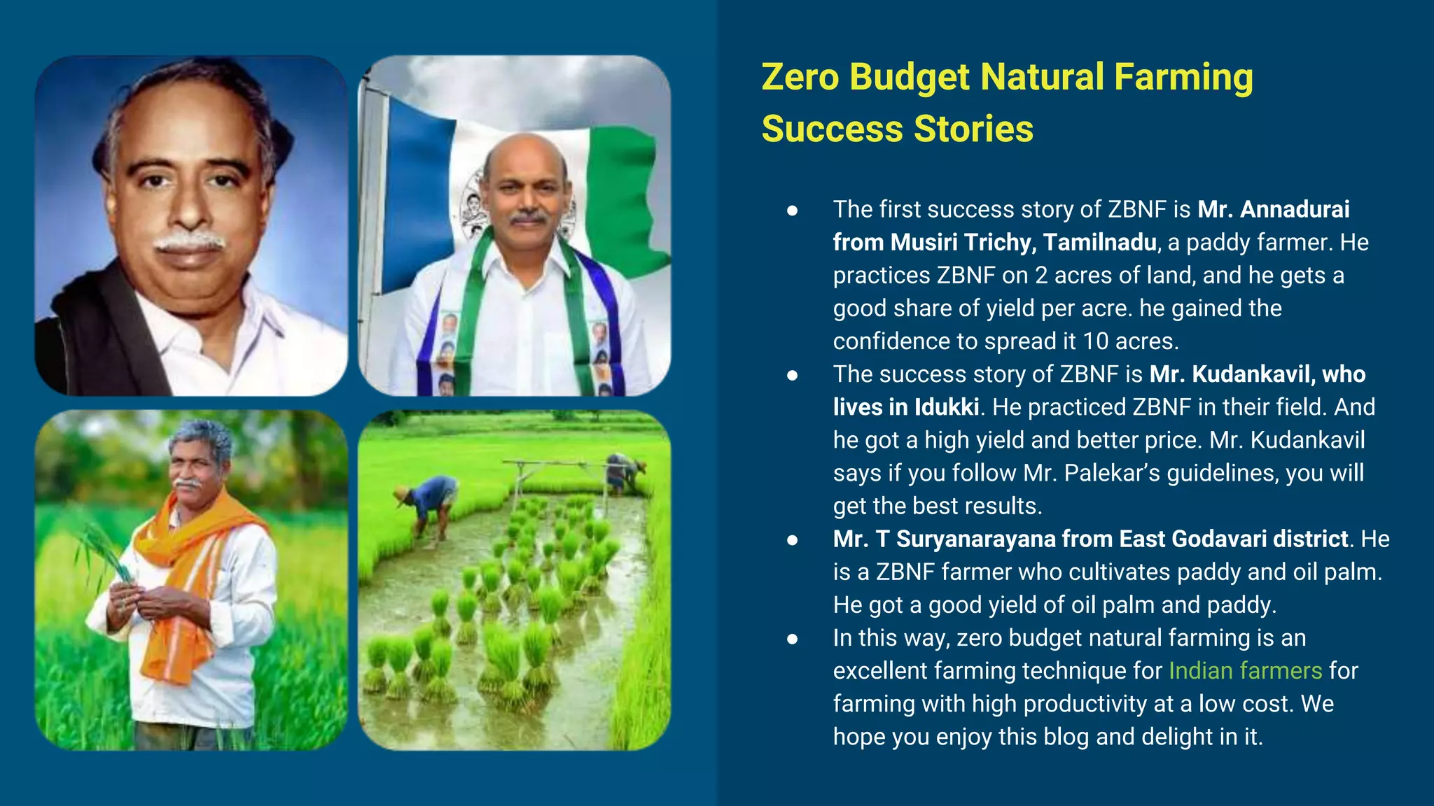 Zero Budget Natural Farming | PPTX