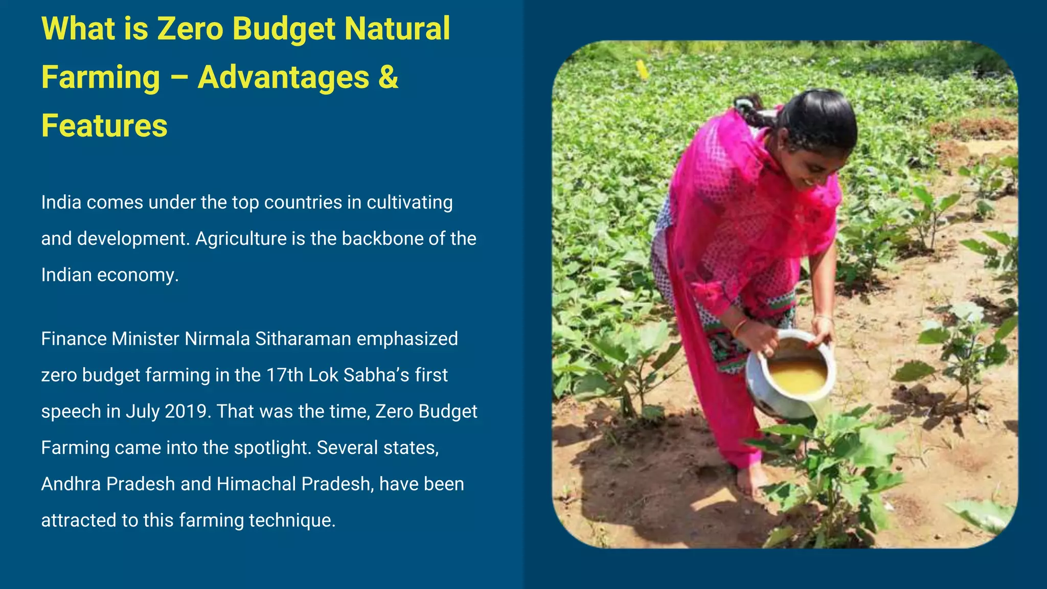 Zero Budget Natural Farming | PPTX