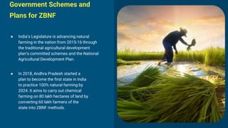 Zero Budget Natural Farming | PPTX