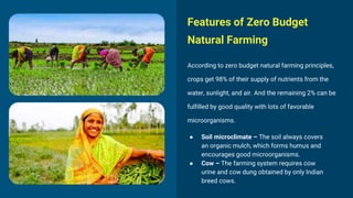 Zero Budget Natural Farming | PPTX