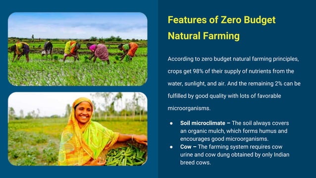 Zero Budget Natural Farming | PPTX | Agriculture | Industries