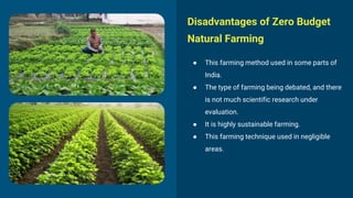 Zero Budget Natural Farming | PPTX