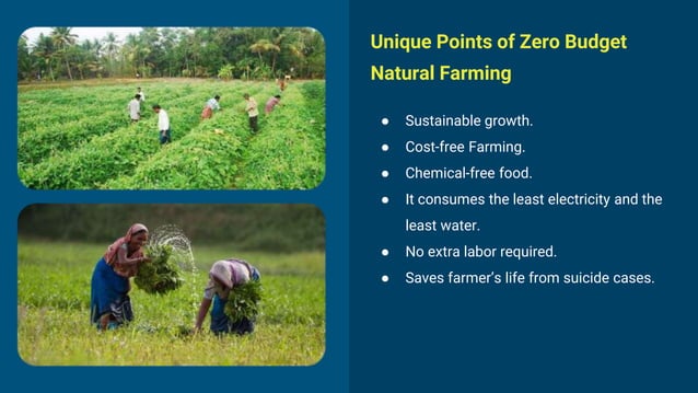Zero Budget Natural Farming | PPTX | Agriculture | Industries