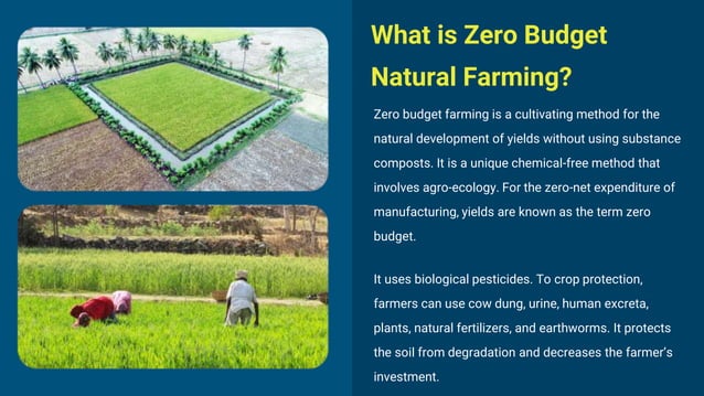 Zero Budget Natural Farming | PPTX | Agriculture | Industries