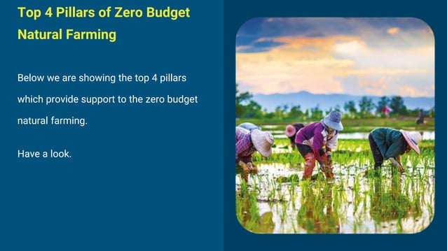 Zero Budget Natural Farming | PPTX | Agriculture | Industries
