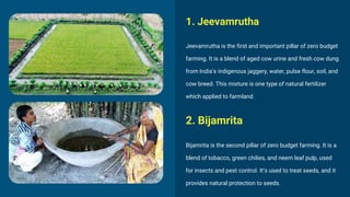 Zero Budget Natural Farming | PPTX