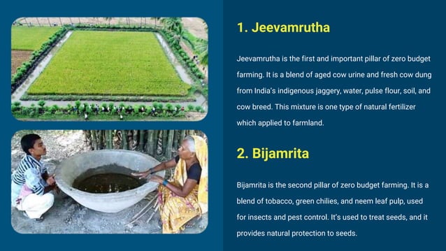 Zero Budget Natural Farming | PPTX | Agriculture | Industries