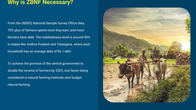 Zero Budget Natural Farming | PPTX | Agriculture | Industries