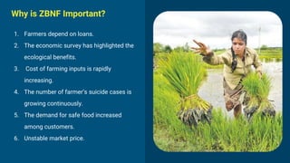 Zero Budget Natural Farming | PPTX