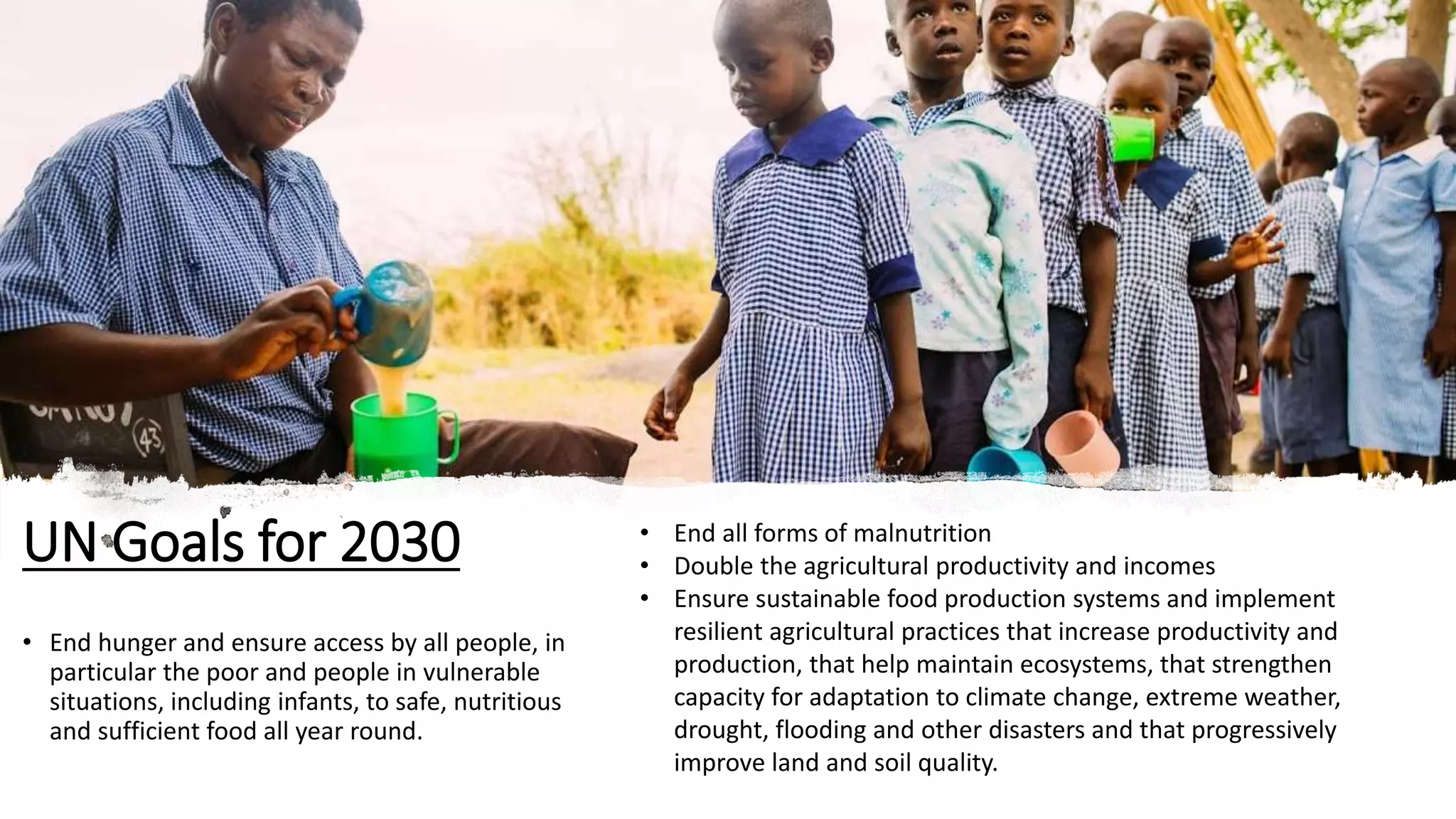 Zero hunger | PPTX