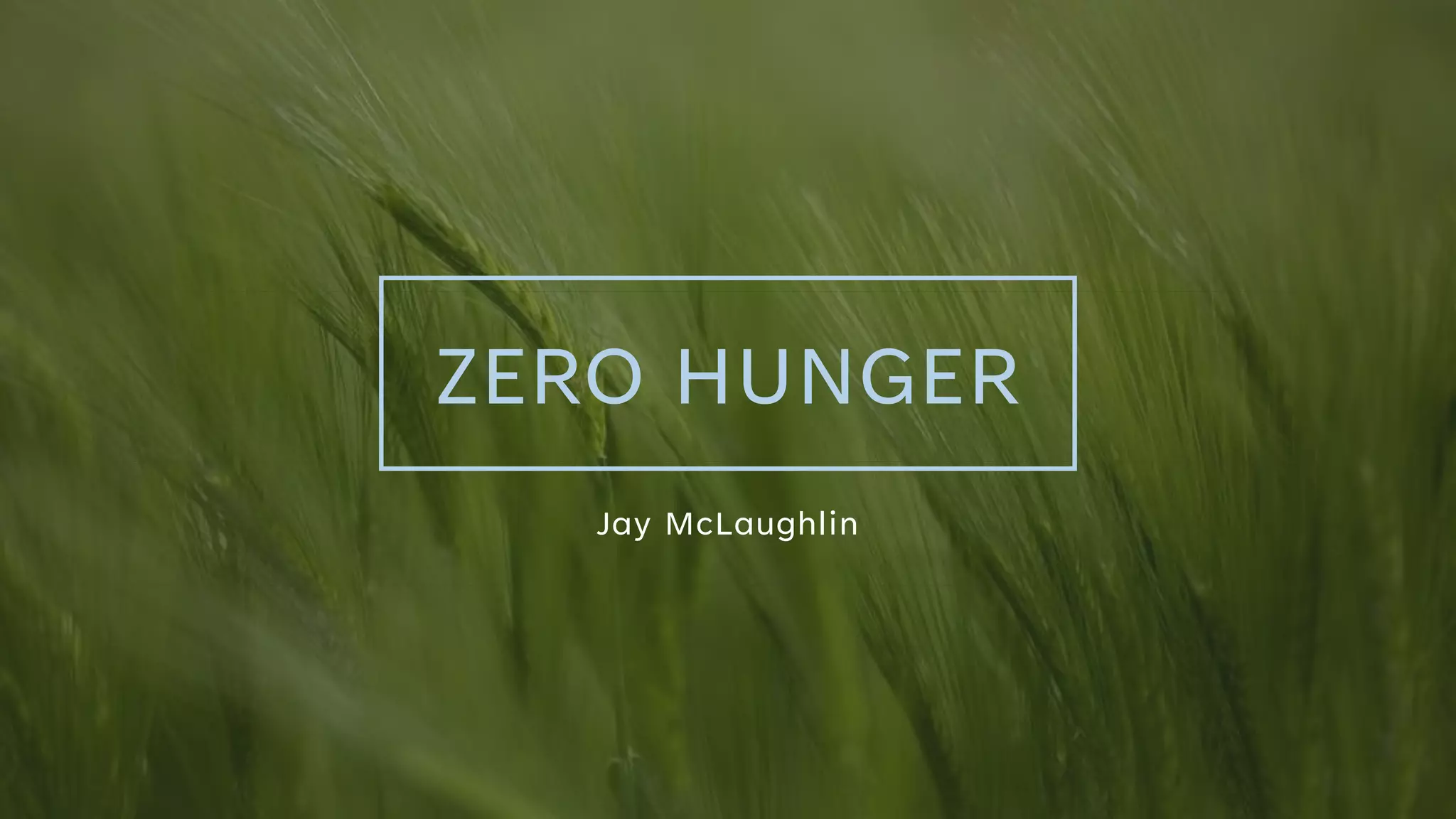 Zero Hunger.pdf