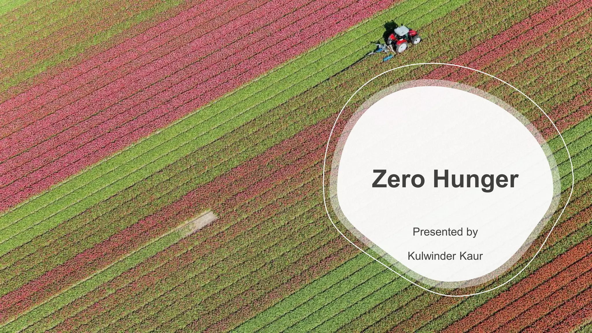 Zero Hunger.pptx