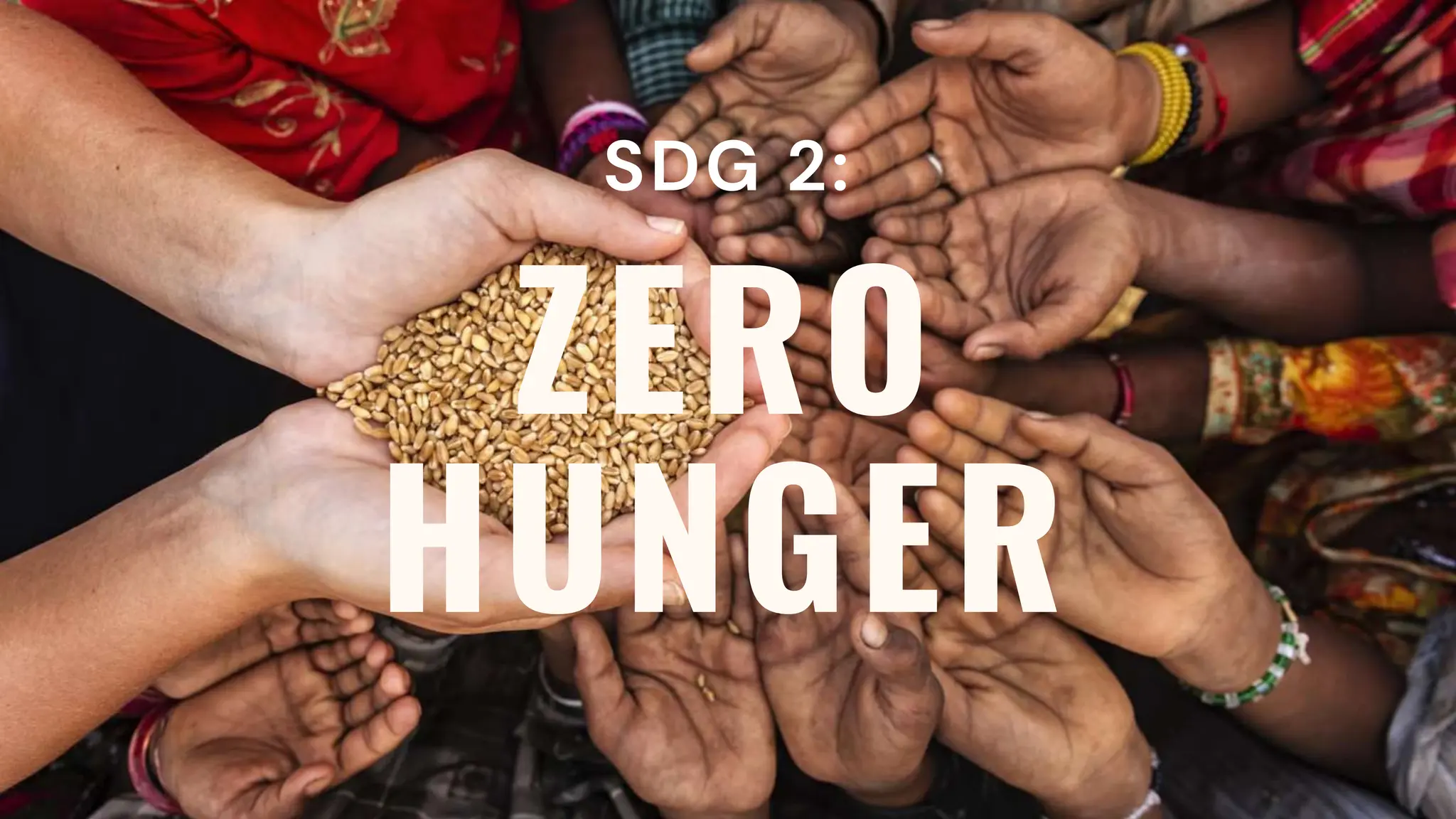 Sustainable Development Goals - zero hunger | PPTX