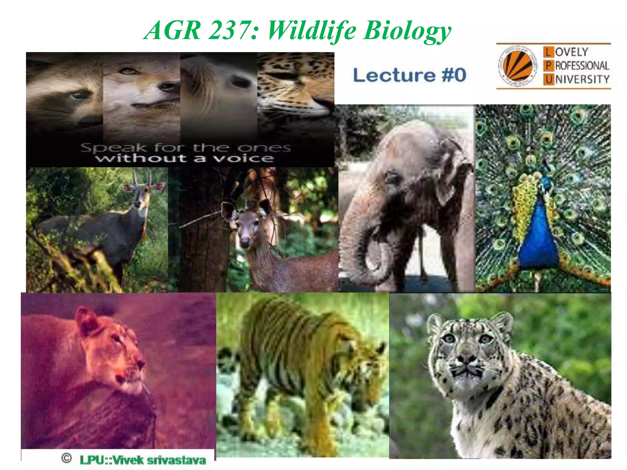 wildlife biology | PPTX