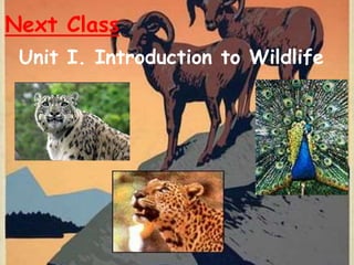 wildlife biology | PPTX