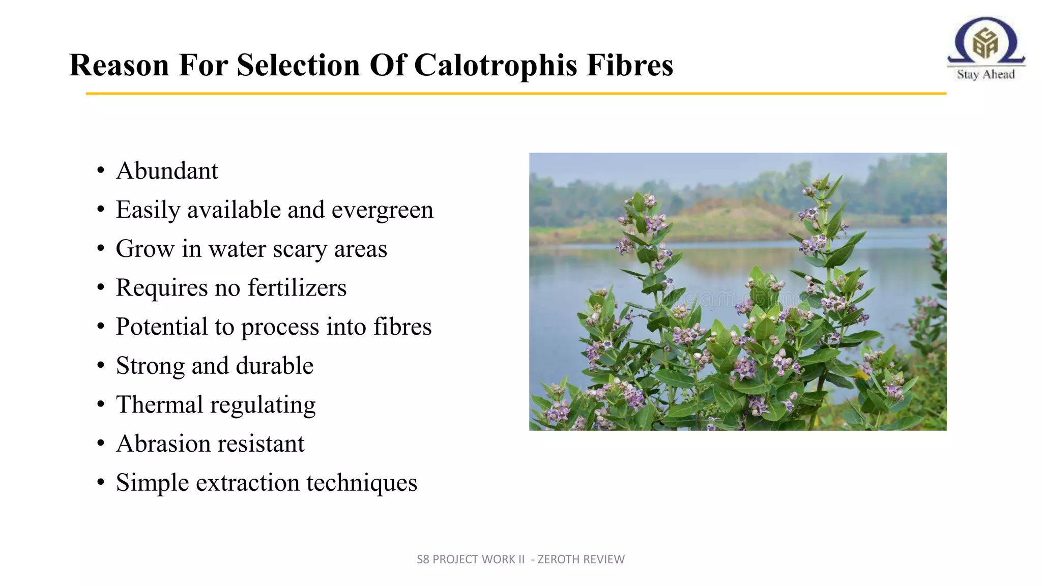 ZEROTH REVIEW FP.pptx