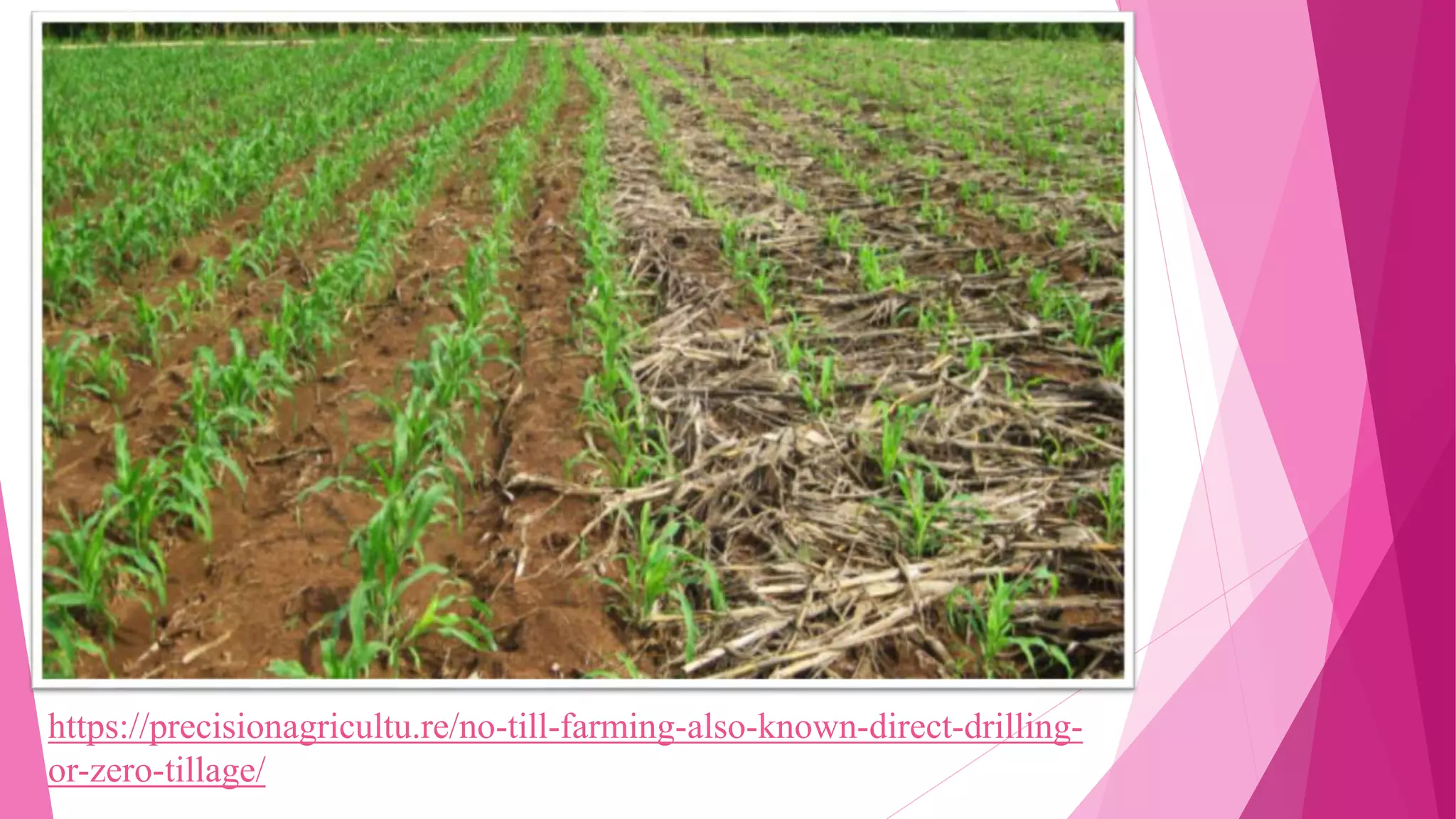 Zero tillage | PPTX | Agriculture | Industries