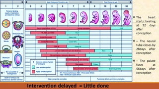 Zero Trimester | PPT