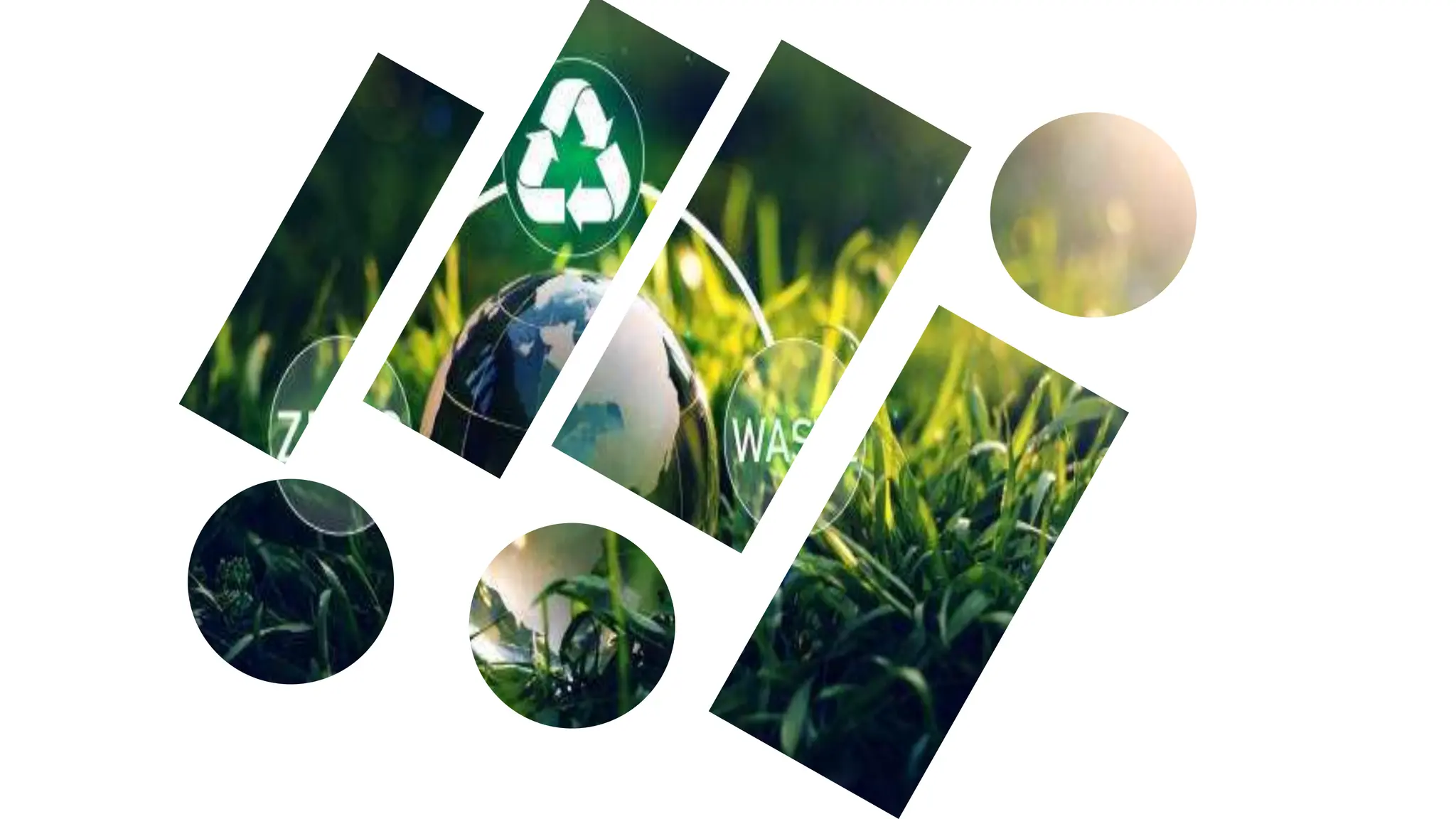 ZERO WASTE TRY 2PPT.pptx