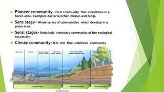 Eco-Succesion.pptx