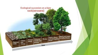 Eco-Succesion.pptx