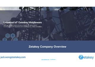 Zetakey Company Overview - IoT solutions 2021 | PDF