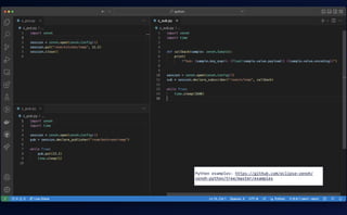 "Taming the Dragon": Get Started with Zenoh | PDF | Programming Languages | Computing