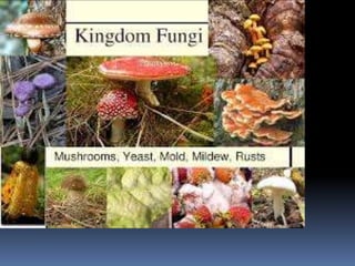 Five kingdom classification | PPTX