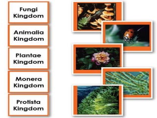 Five kingdom classification | PPTX