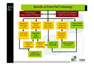 Zeyaur Khan- ICIPE- Climate Smart Push-pull farming | PDF
