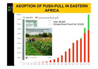Zeyaur Khan- ICIPE- Climate Smart Push-pull farming | PPT