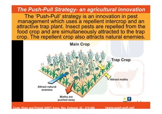 Zeyaur Khan- ICIPE- Climate Smart Push-pull farming | PDF