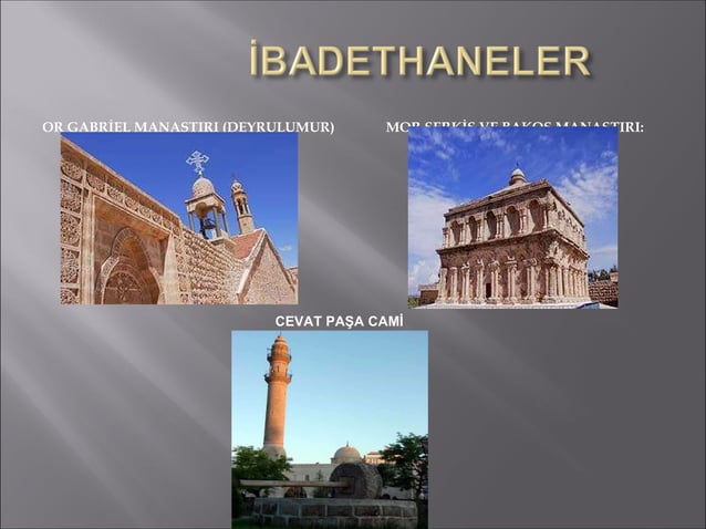 Zeynep şule-serap | PPT