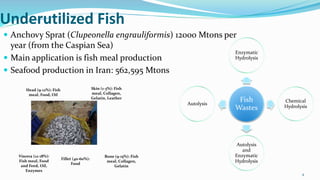 Industrial scale production of amino acid fertilizer from fish waste ...