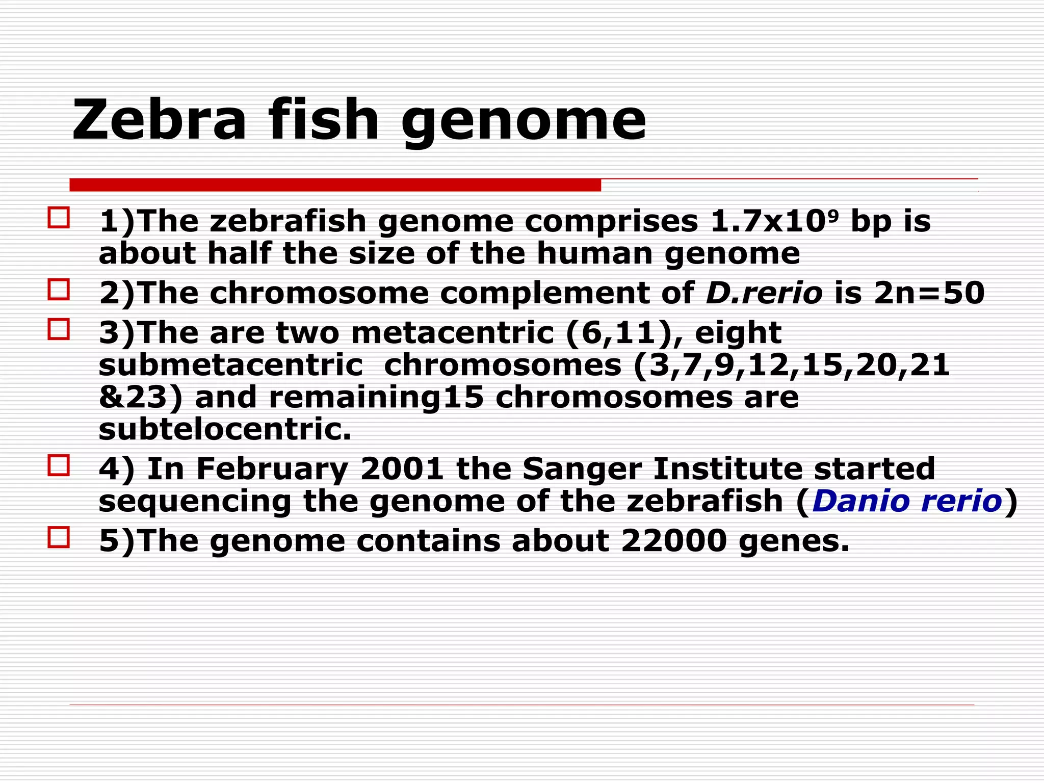 Zebra Fish- Genome, Morphology,Embryonic Development, A model organism ...