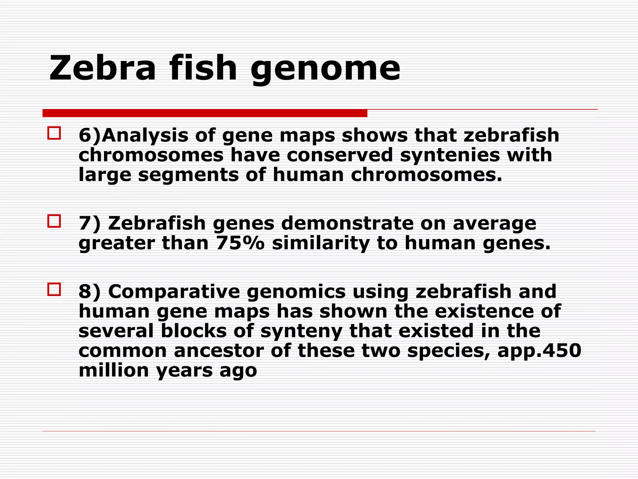 Zebra Fish- Genome, Morphology,Embryonic Development, A model organism ...