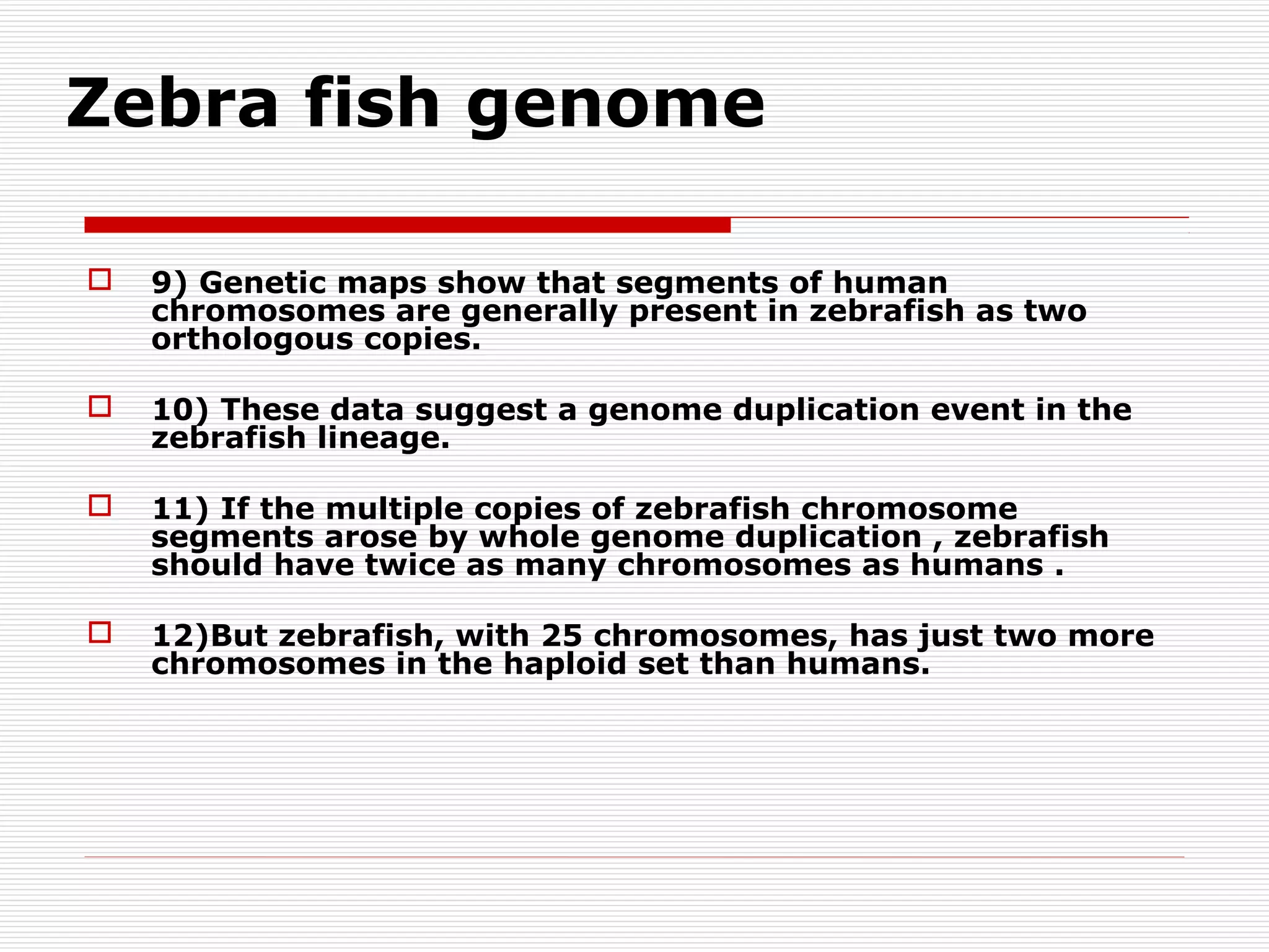 Zebra Fish- Genome, Morphology,Embryonic Development, A model organism ...