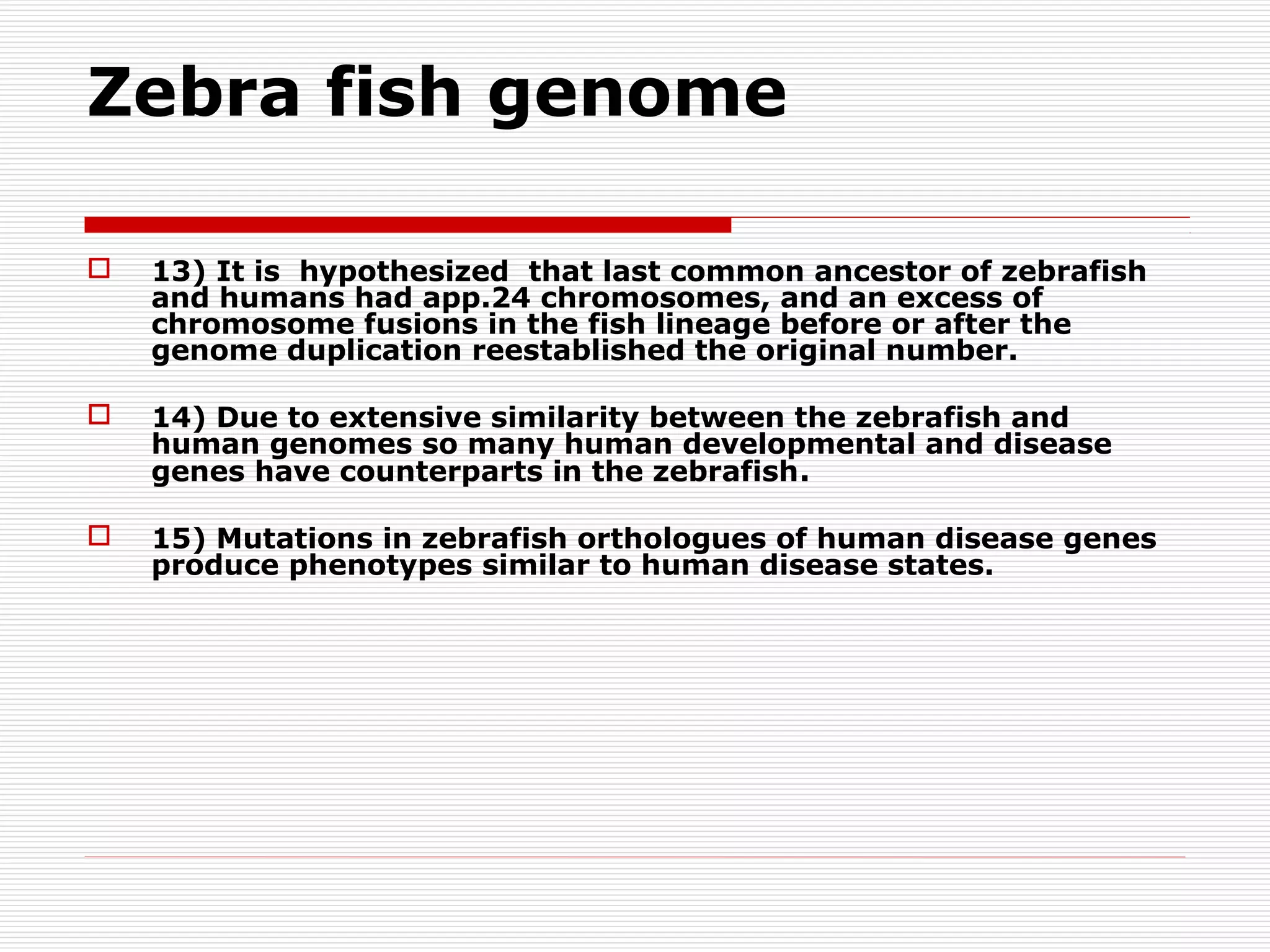 Zebra Fish- Genome, Morphology,Embryonic Development, A model organism ...