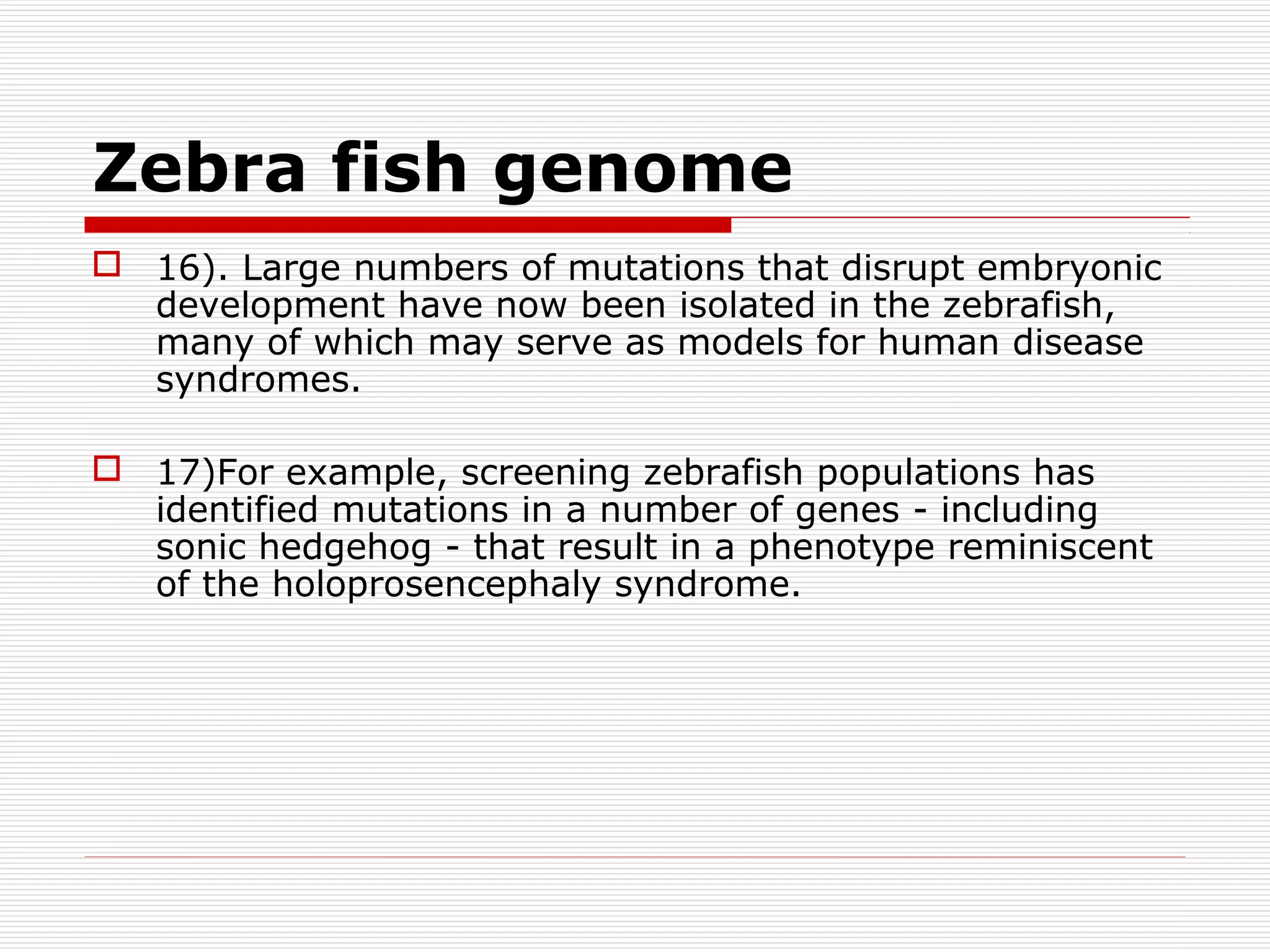 Zebra Fish- Genome, Morphology,Embryonic Development, A model organism ...