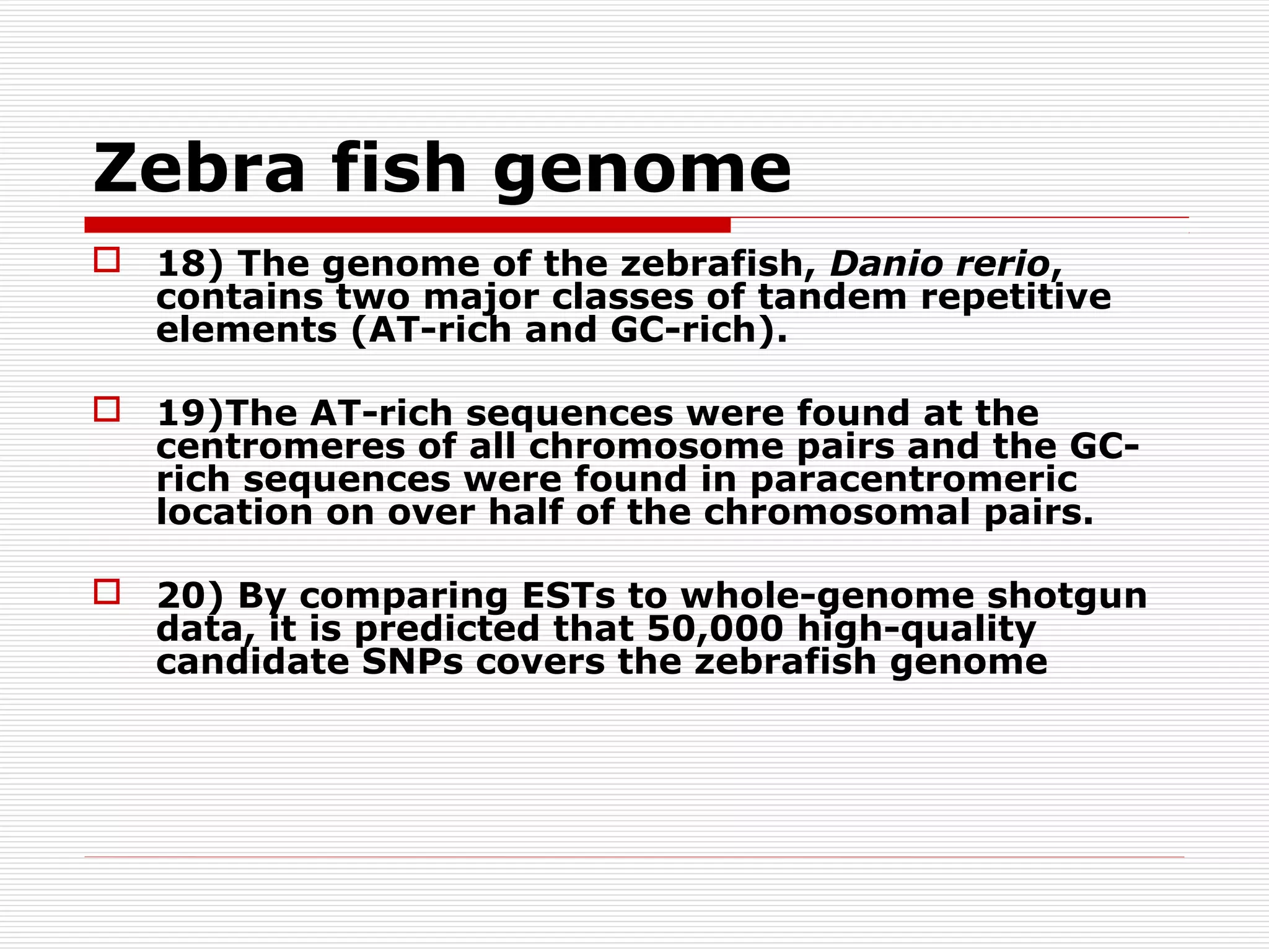 Zebra Fish- Genome, Morphology,Embryonic Development, A model organism ...