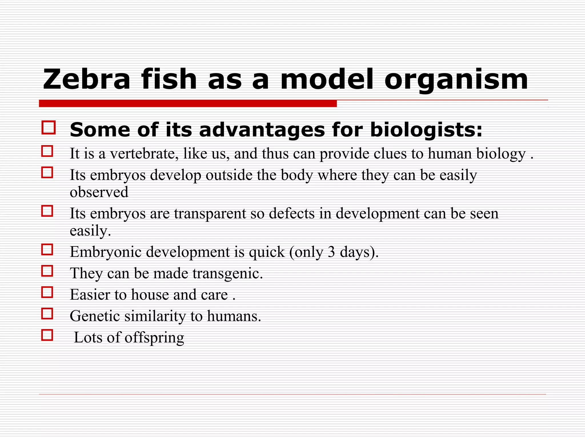 Zebra Fish- Genome, Morphology,Embryonic Development, A model organism ...