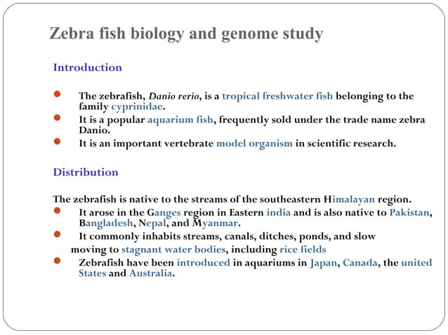 Zebra Fish- Genome, Morphology,Embryonic Development, A model organism ...