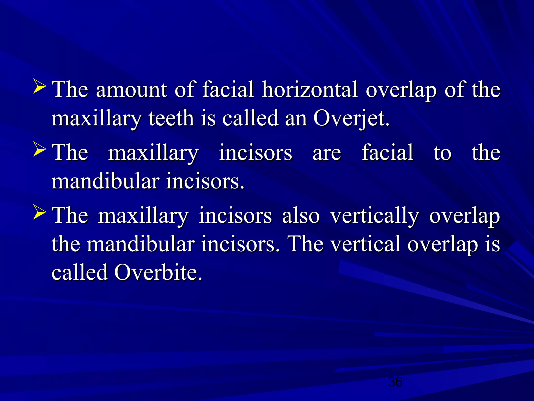 Primary teeth and occlusion | PPT