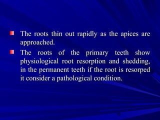Primary teeth and occlusion | PPT