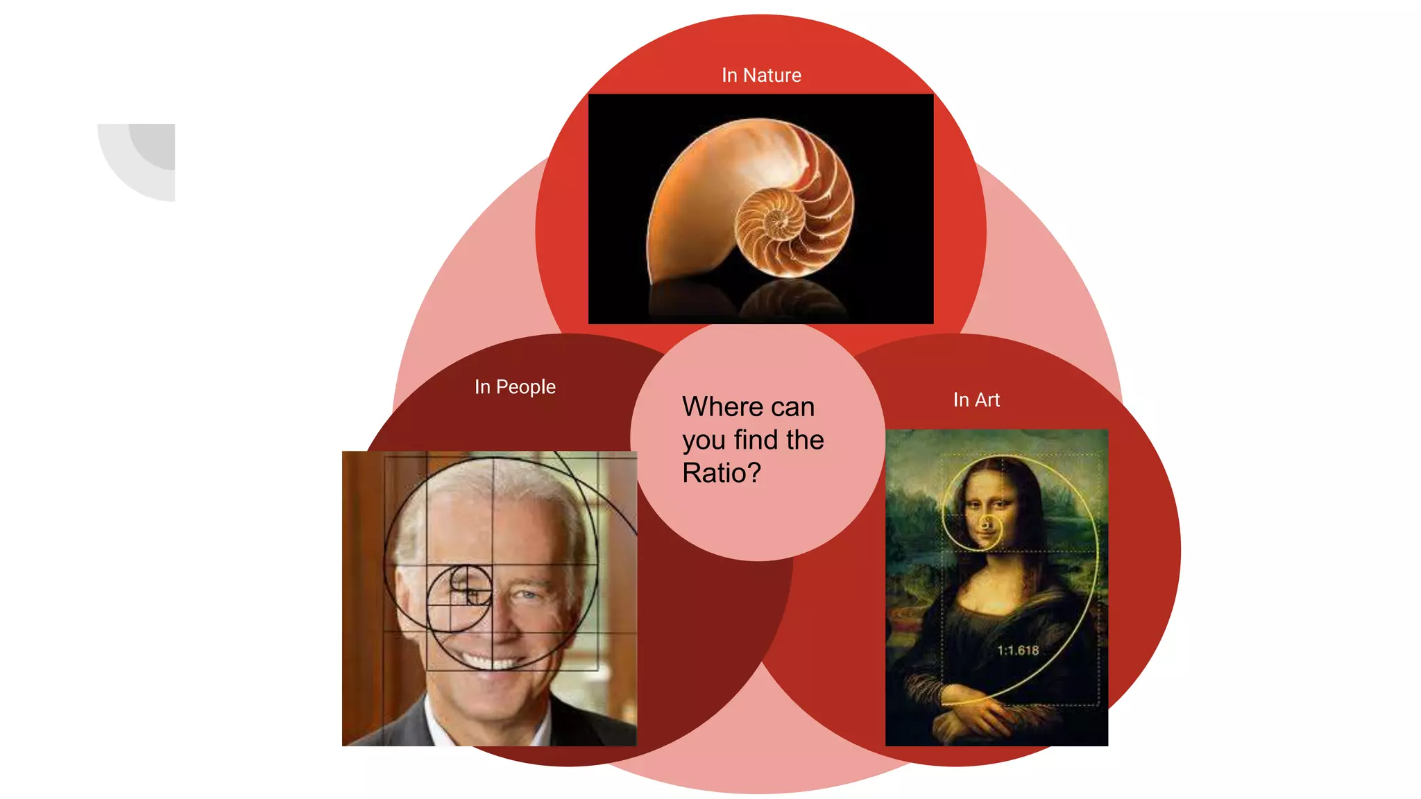 The Golden Ratio | PPTX