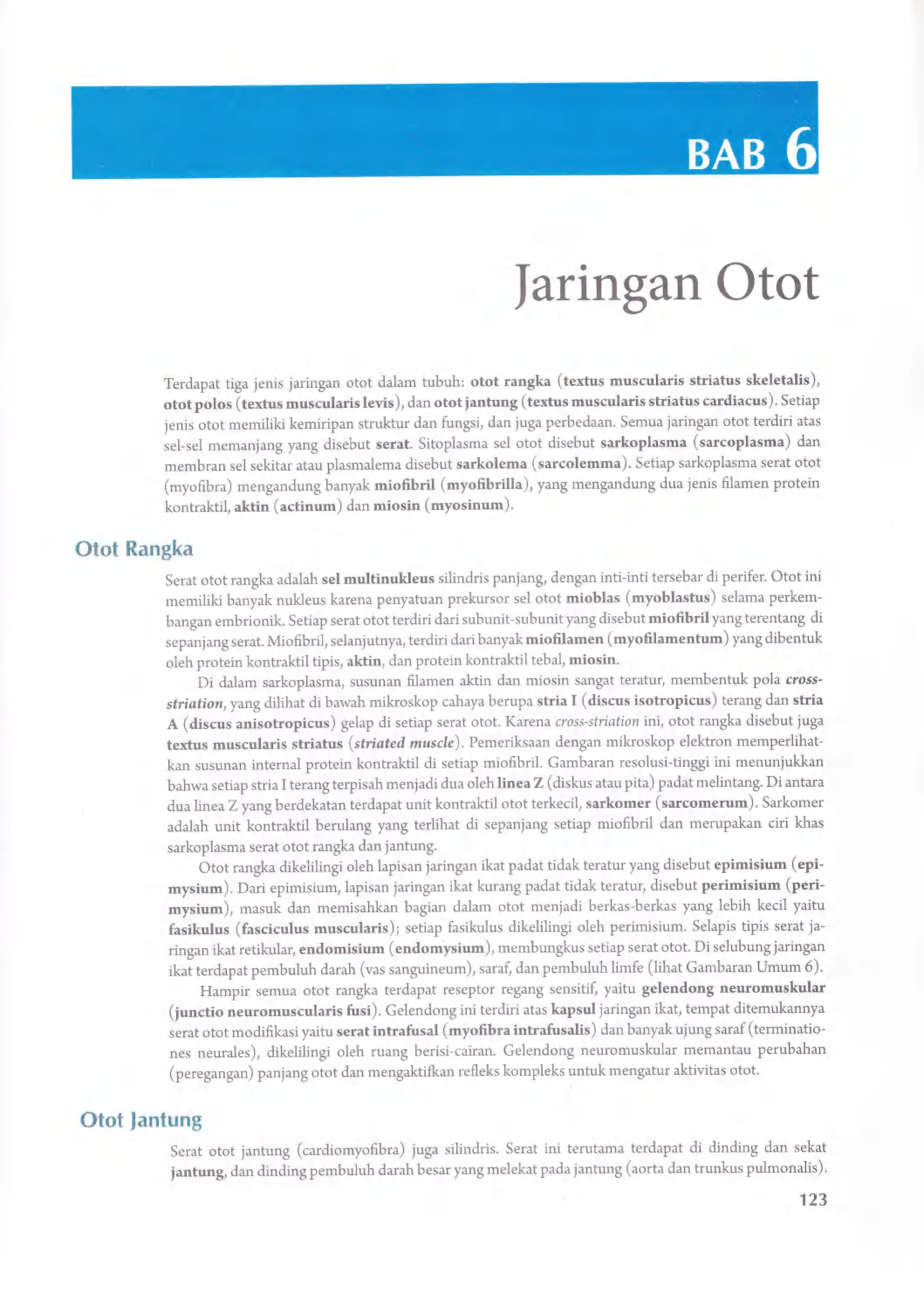 Bab_6_Jaringan_Otot-Bab_6_Jaringan_Otot.pdf