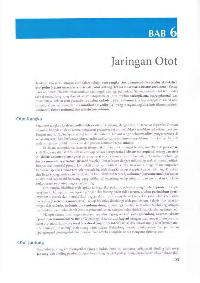 Bab_6_Jaringan_Otot-Bab_6_Jaringan_Otot.pdf