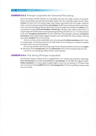 Bab_6_Jaringan_Otot-Bab_6_Jaringan_Otot.pdf
