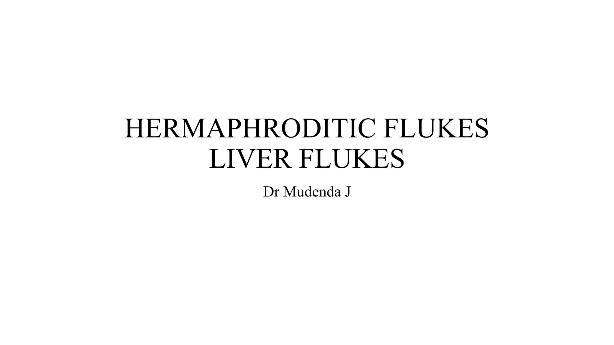 HERMAPHRODITIC_FLUKES_LIVER_FLUKES-Fasciola.pptx
