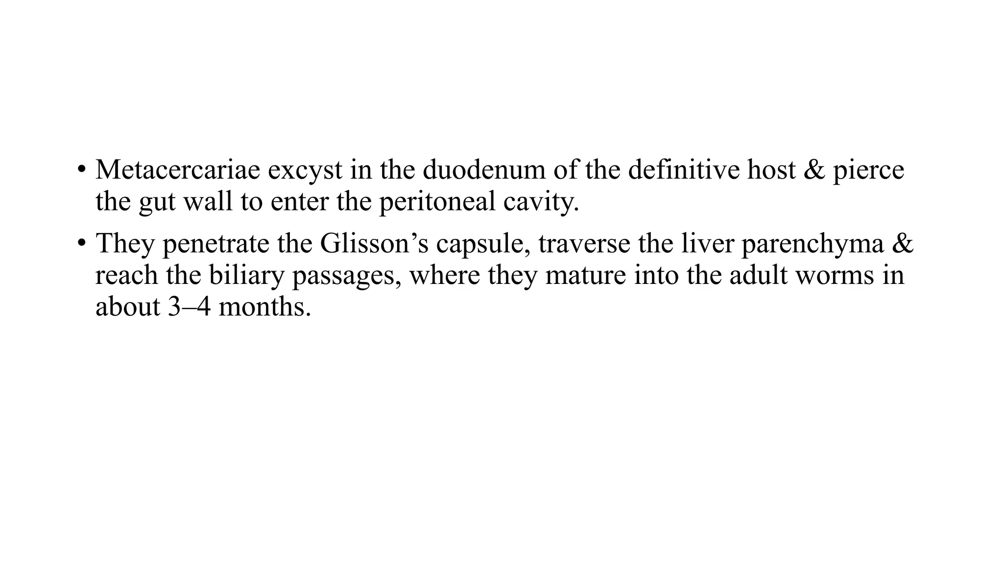 HERMAPHRODITIC_FLUKES_LIVER_FLUKES-Fasciola.pptx